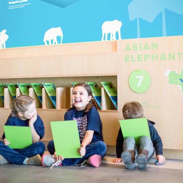 Join us for "Third Saturday" Events at The Elephant Discovery Center! - Press Releases - The ...